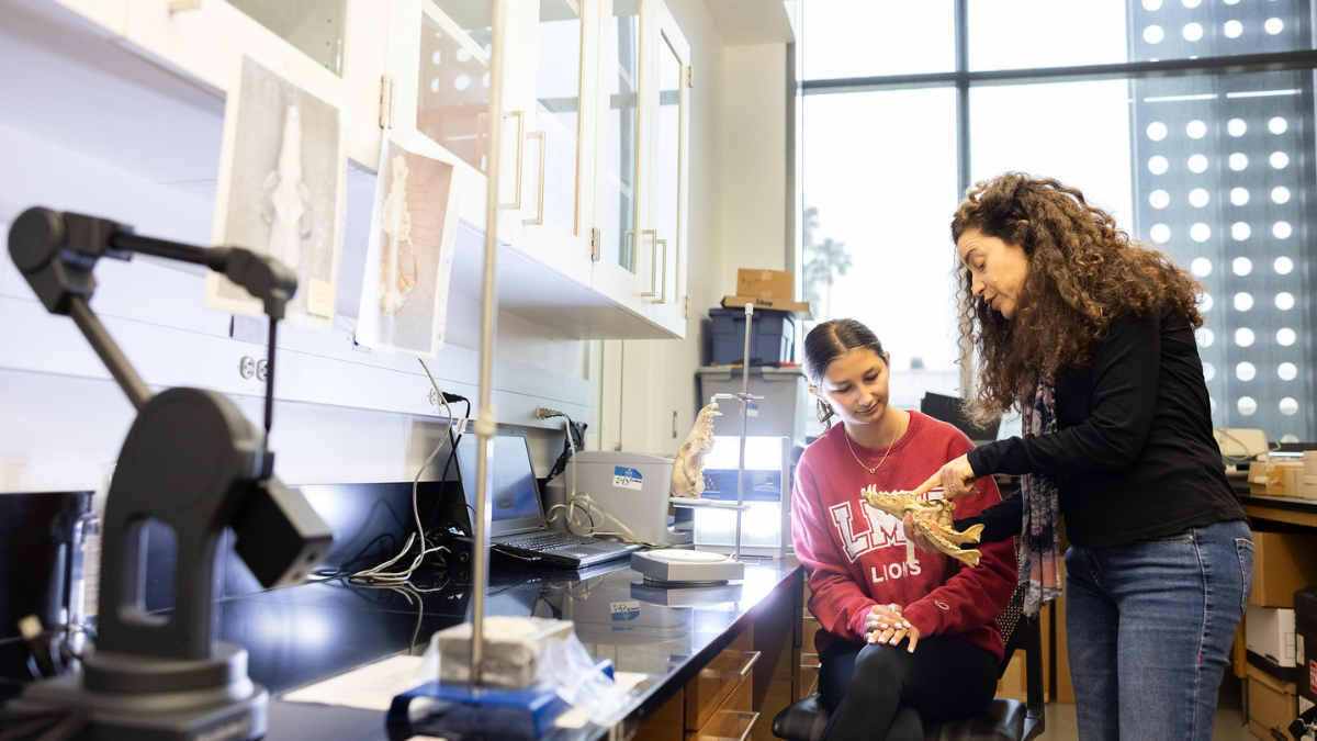 Core Curriculum - Loyola Marymount University